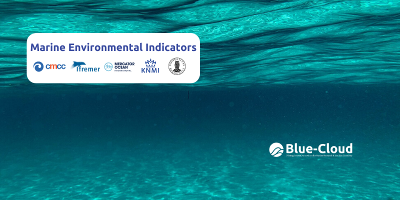 Marine Environmental Indicators: A Blue-Cloud demonstrator | Blue-Cloud ...