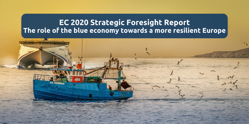 EC 2020 Strategic Foresight Report: The role of the blue economy | Blue ...