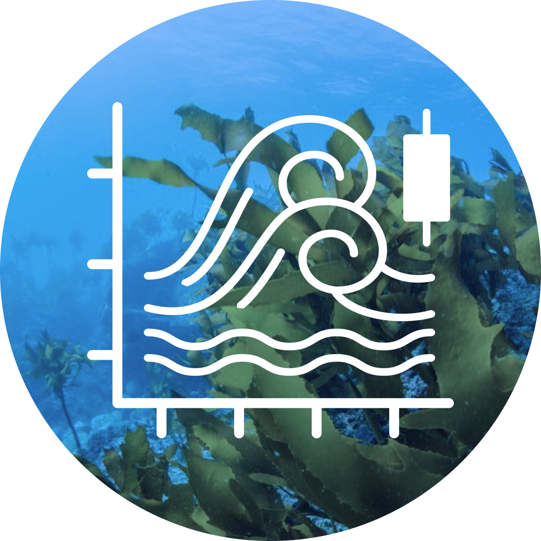 Marine Environmental Indicators | Blue-Cloud 2026